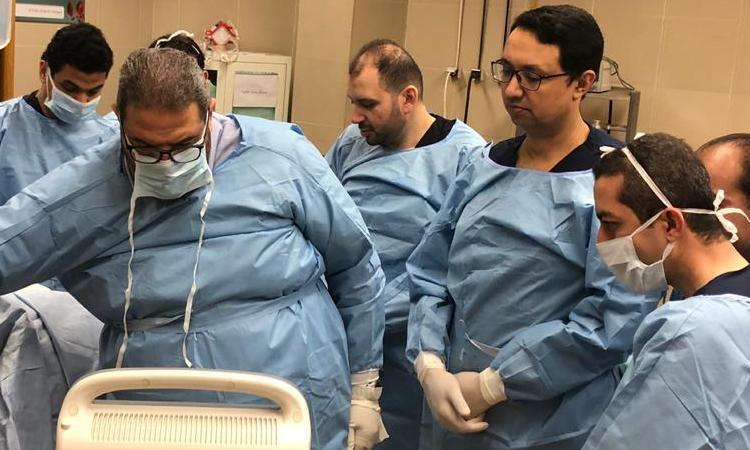 ECMO Experts conducts ECMO Animal Cannulation Lab – ECMO EXPERTS