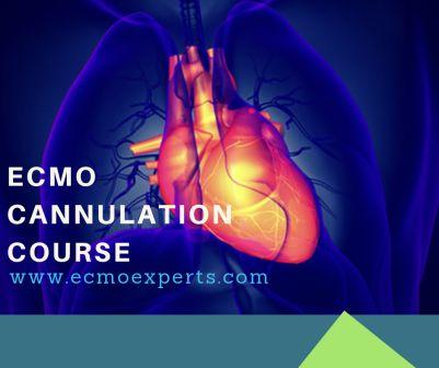 Ecmo Experts cannulation course egypt – ECMO EXPERTS